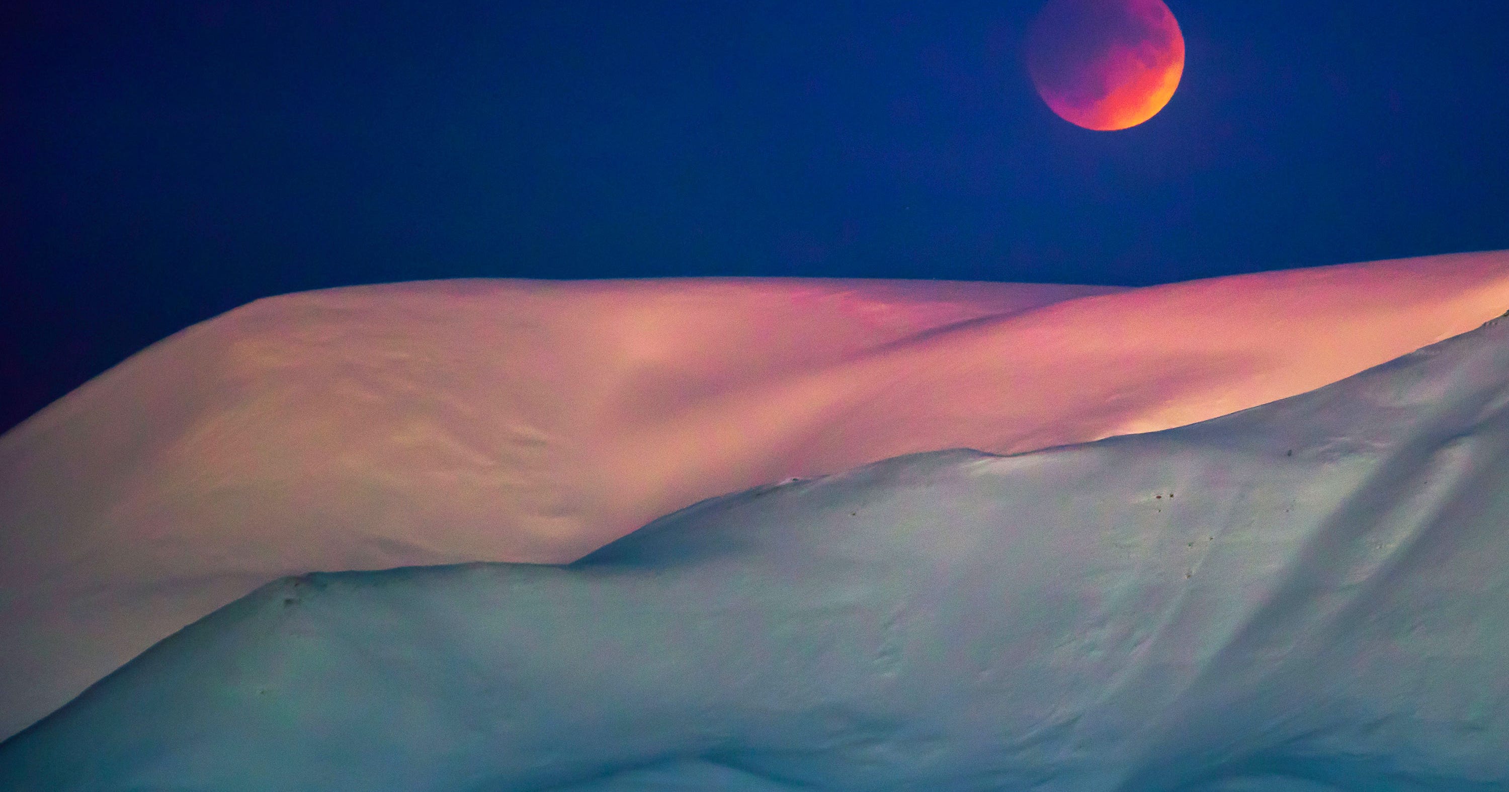 The Best Photos Trending This Week