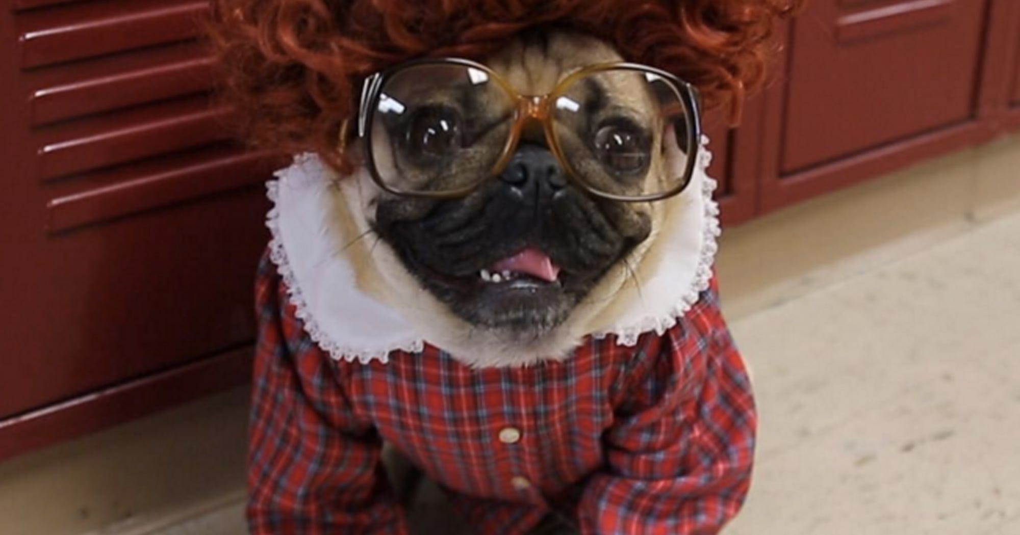 Stranger Things Doug The Pug Dog Parody Barb Eleven