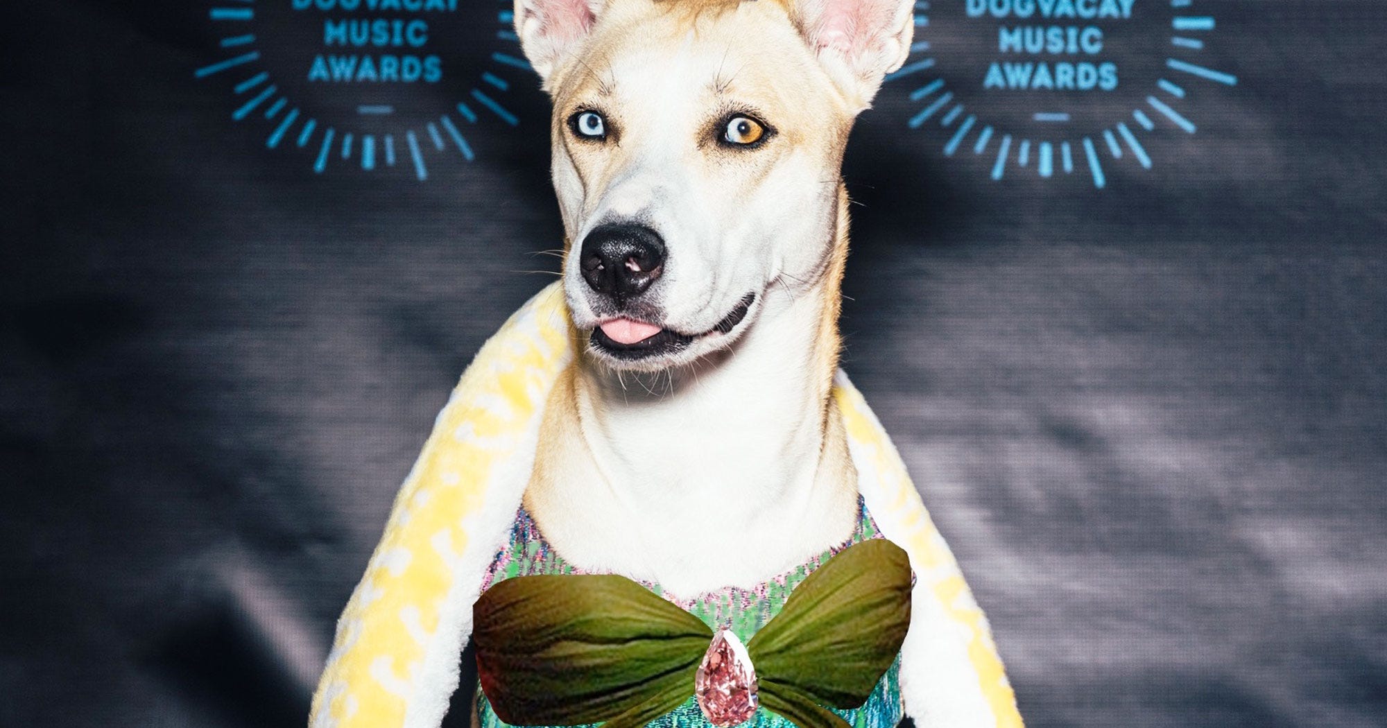 Dogs Dressed As MTV Video Music Award Winners