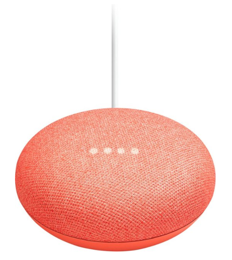 Google Home + Google Home Mini