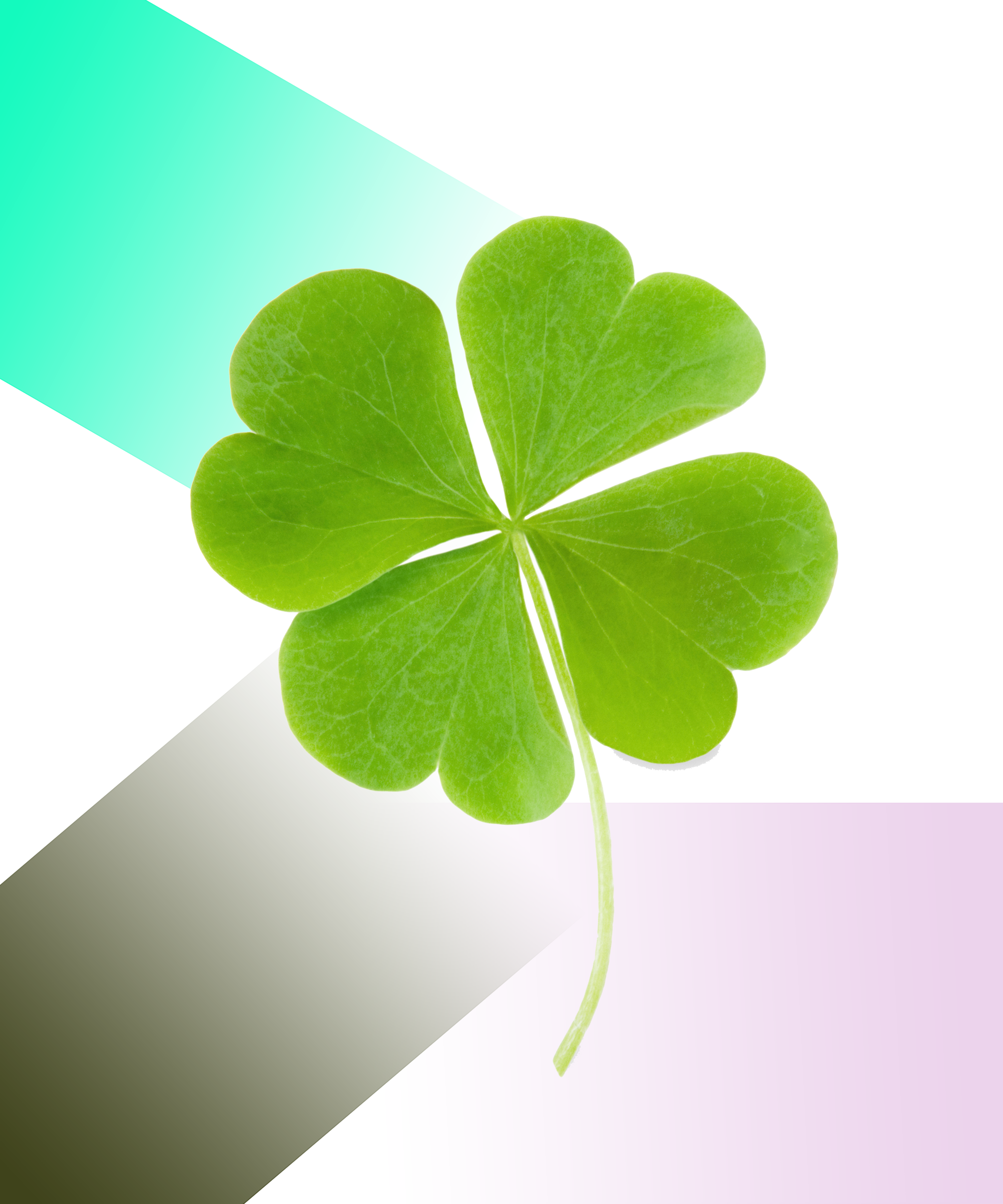 Four Leaf Clover By K 5 21 22 