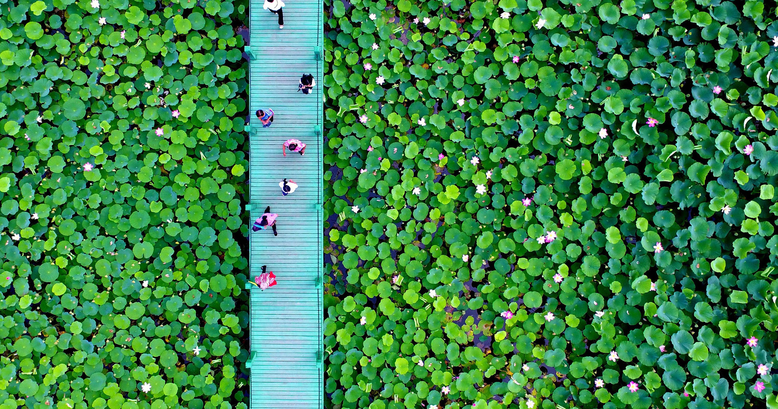 The Best Photos Trending This Week