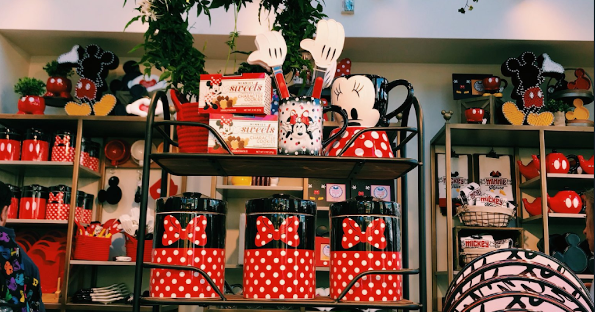 Disney Home Store Opening Disneyland Resort