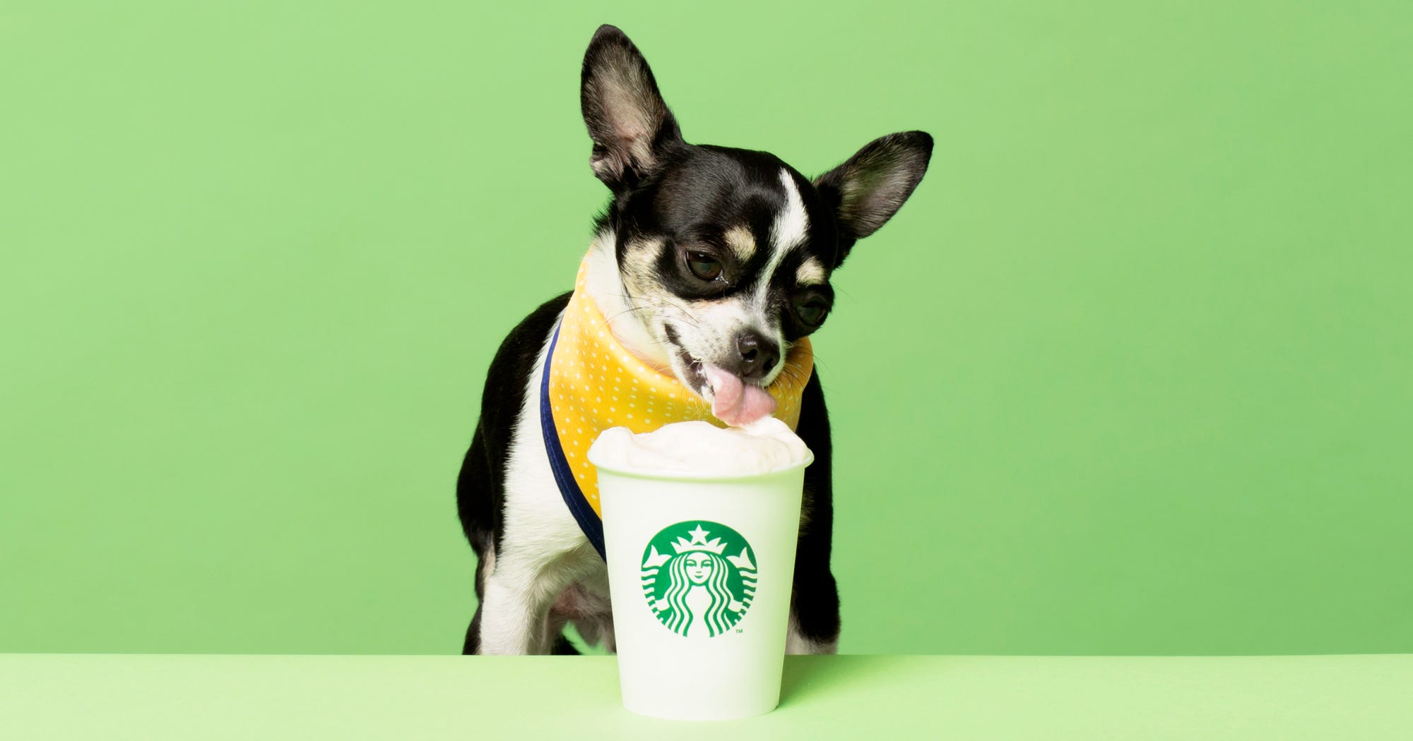 Restaurant Dog Menu - Pet Friendly Fast Food Menus