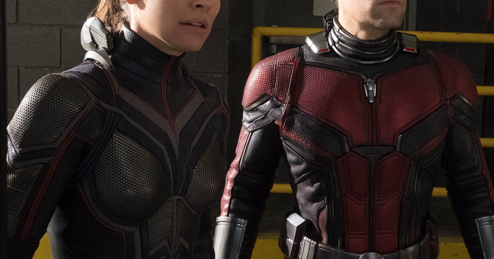 Ant Man And Wasp