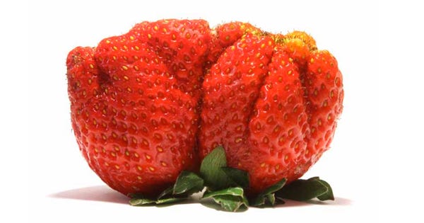 Ugly Fruit - Imperfect Produce