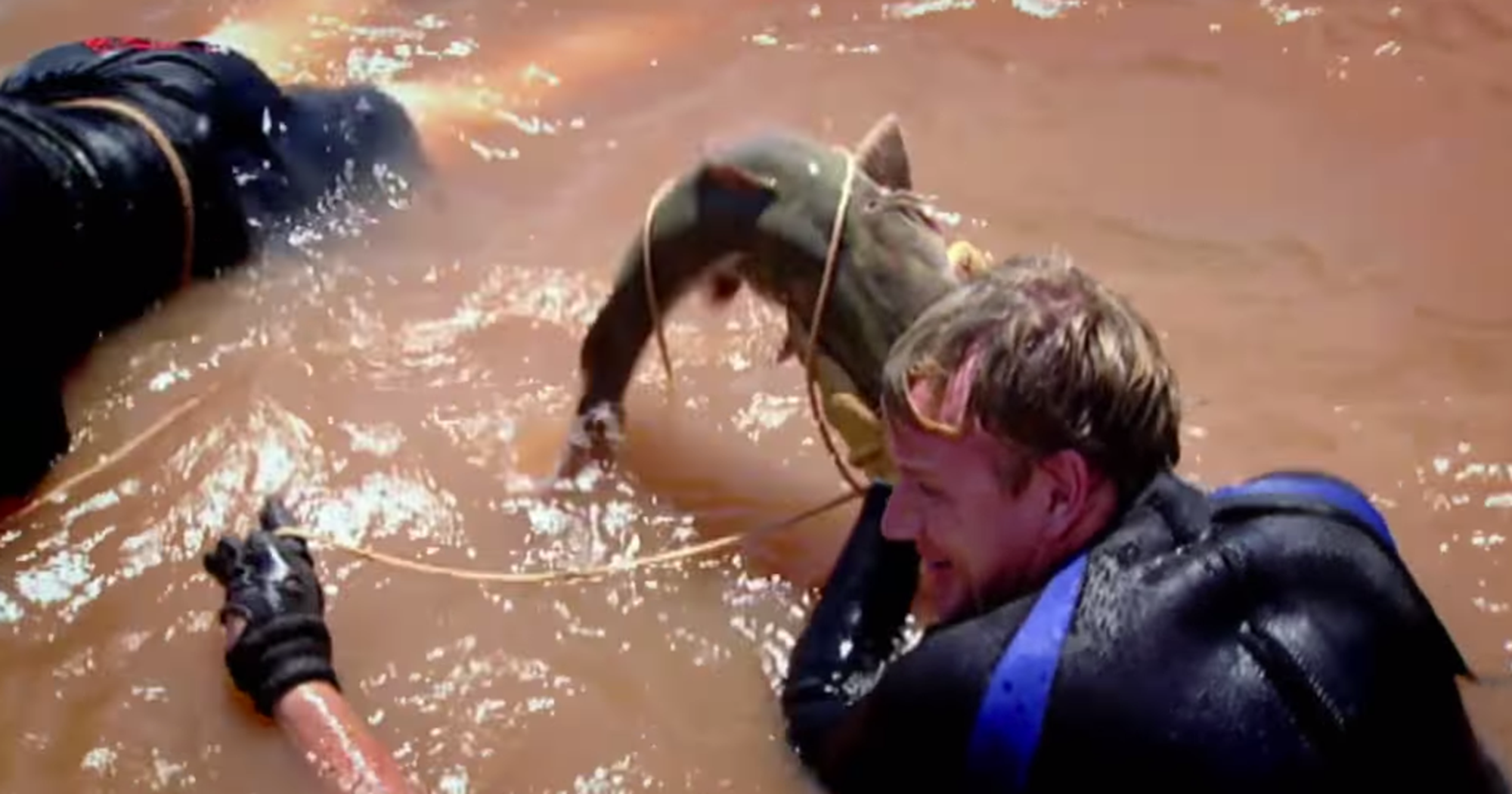 Gordon Ramsay Catfish Noodling