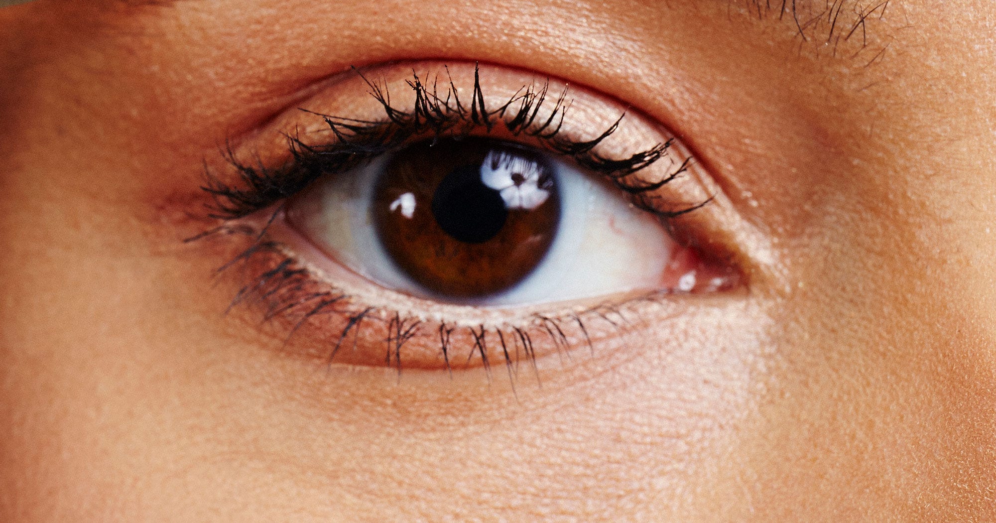 Color Blindness Experience, Vision GIFs