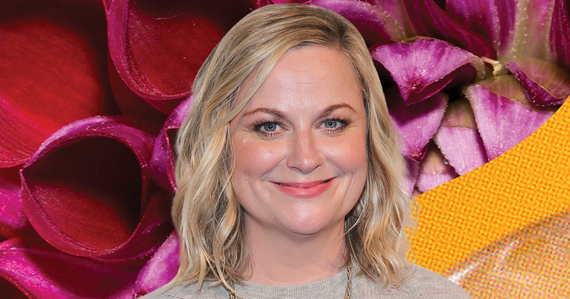 Amy Poehler Opened Wine Store Zula Way Before New Movie