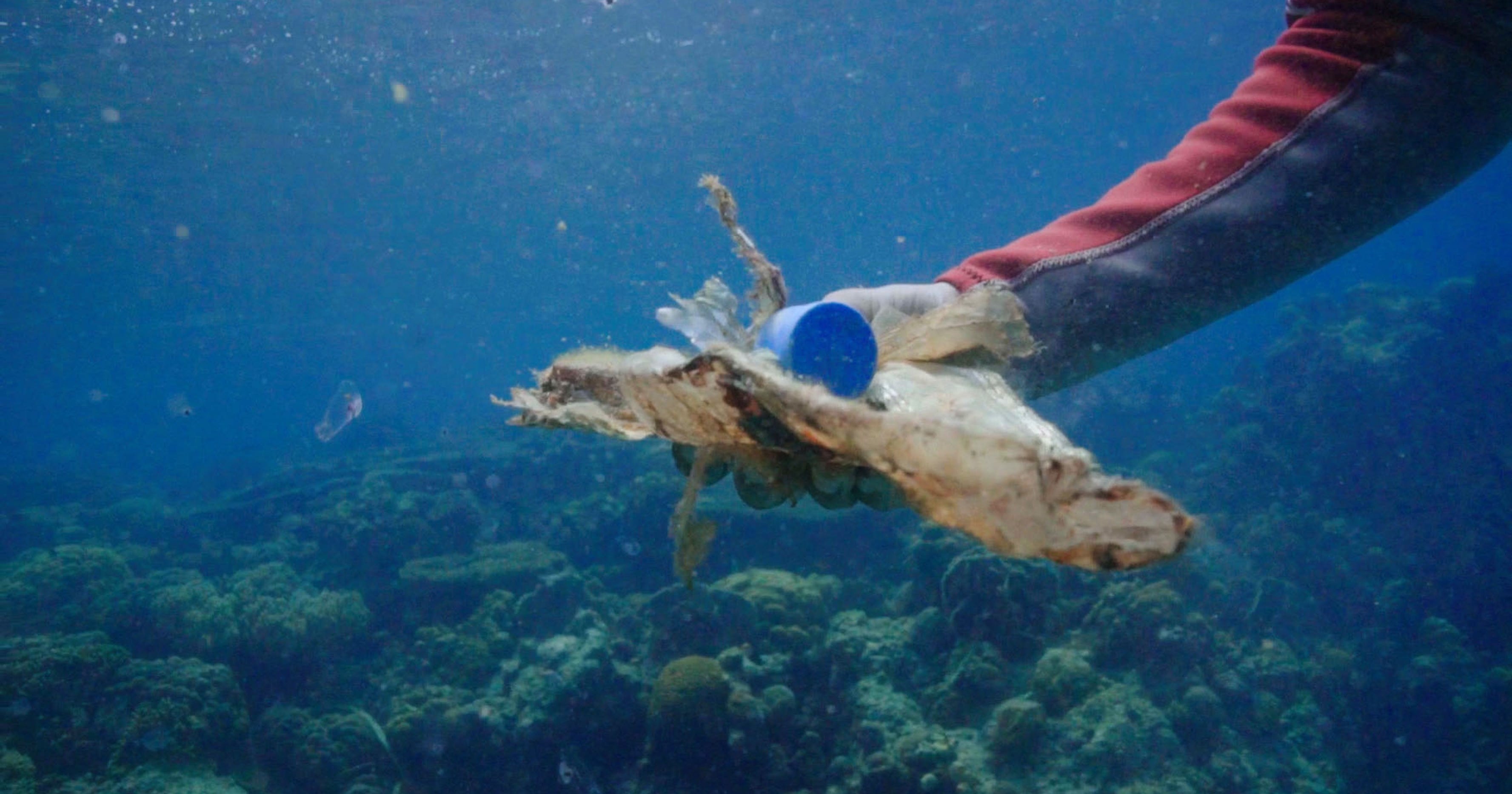 Drowning In Plastic – BBC One Documentary