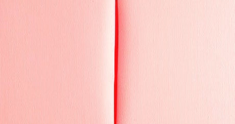 Genital Anatomy-Health Class Knowledge Of Sexual Organs