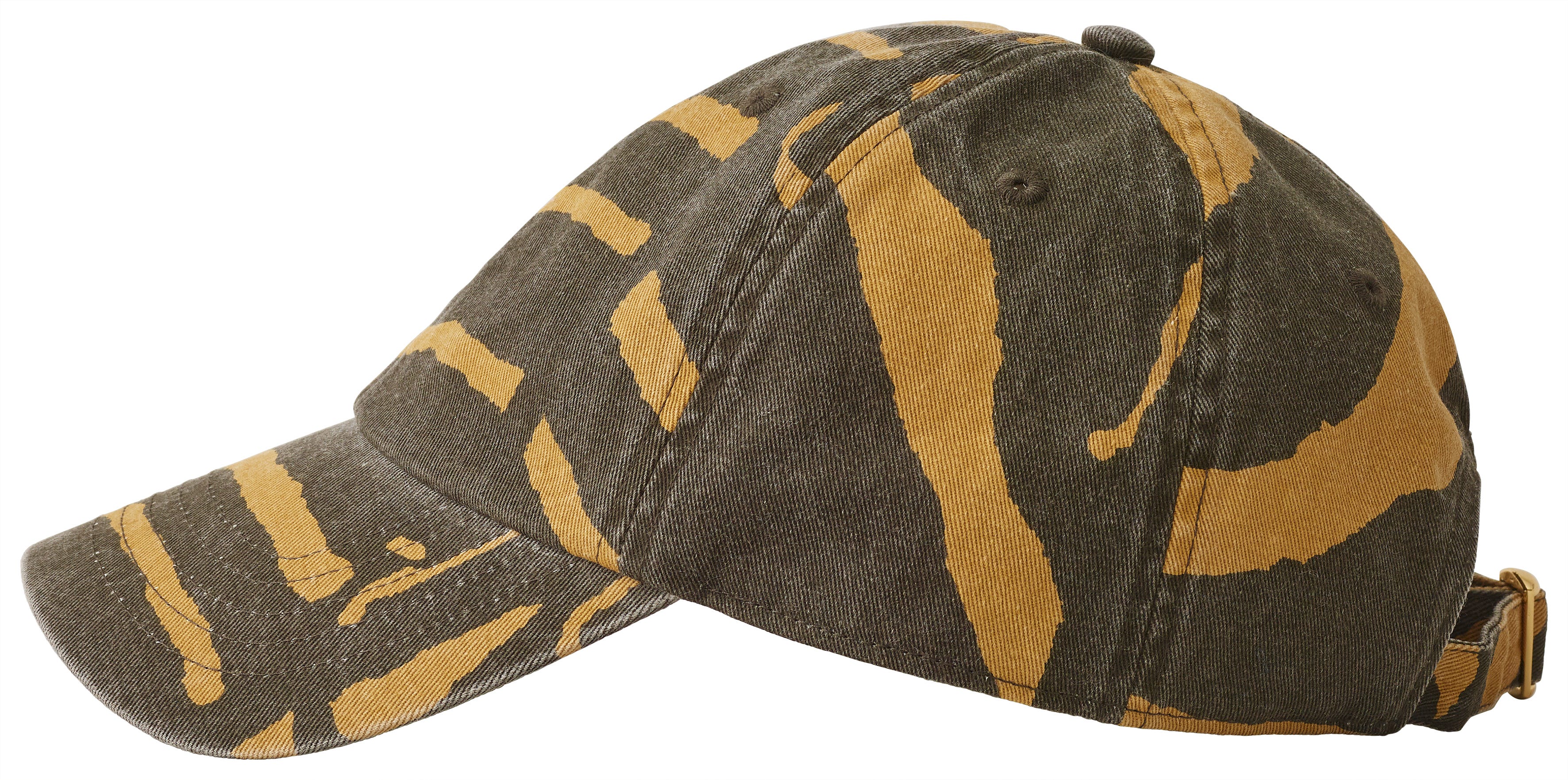 H&M Studio + Zebra-Striped Cap