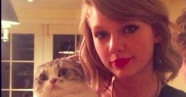 Taylor Swift's Cat Gave Her A Nasty Scratch