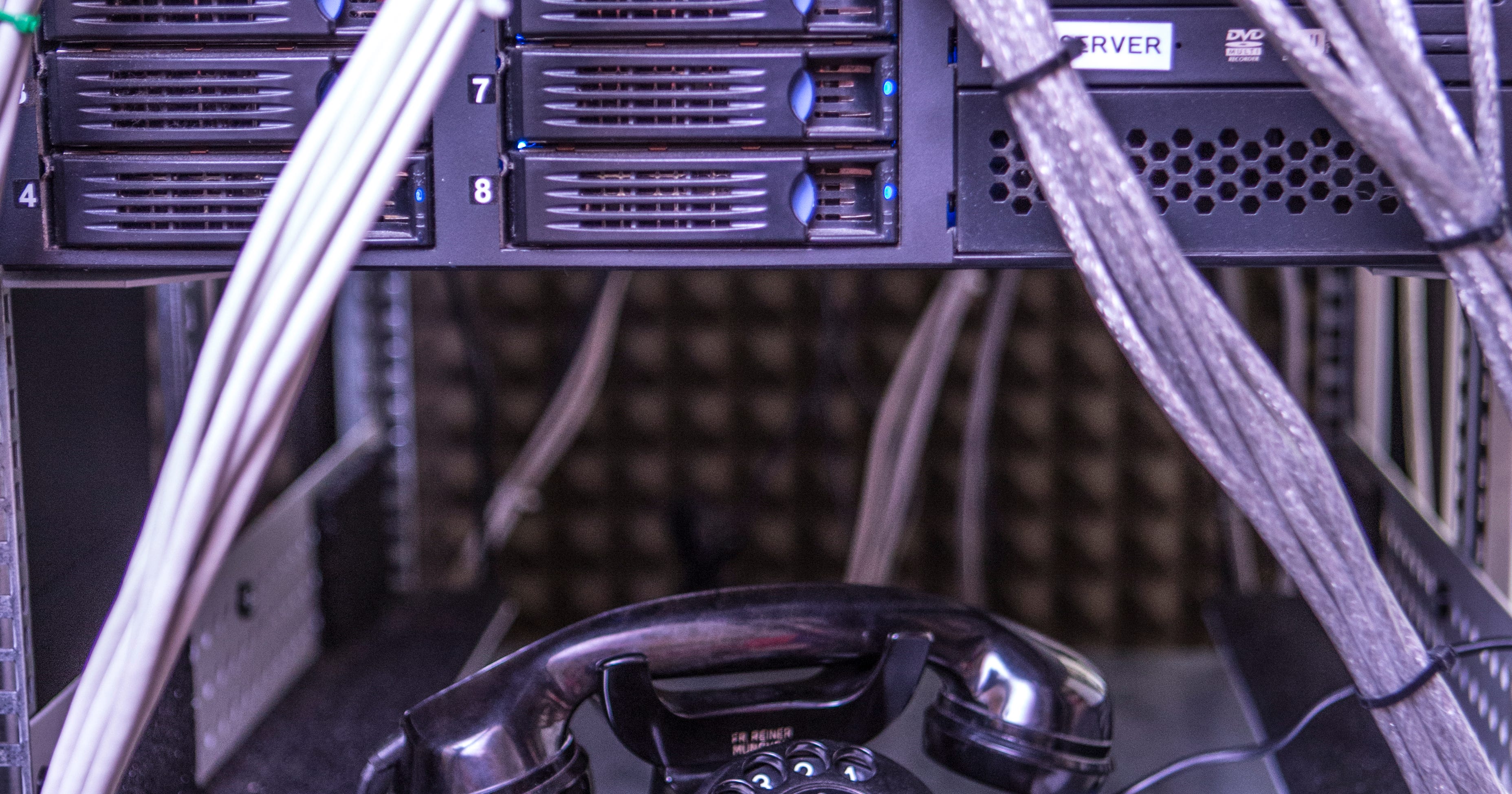 Trans Lifeline Donations Server Crash