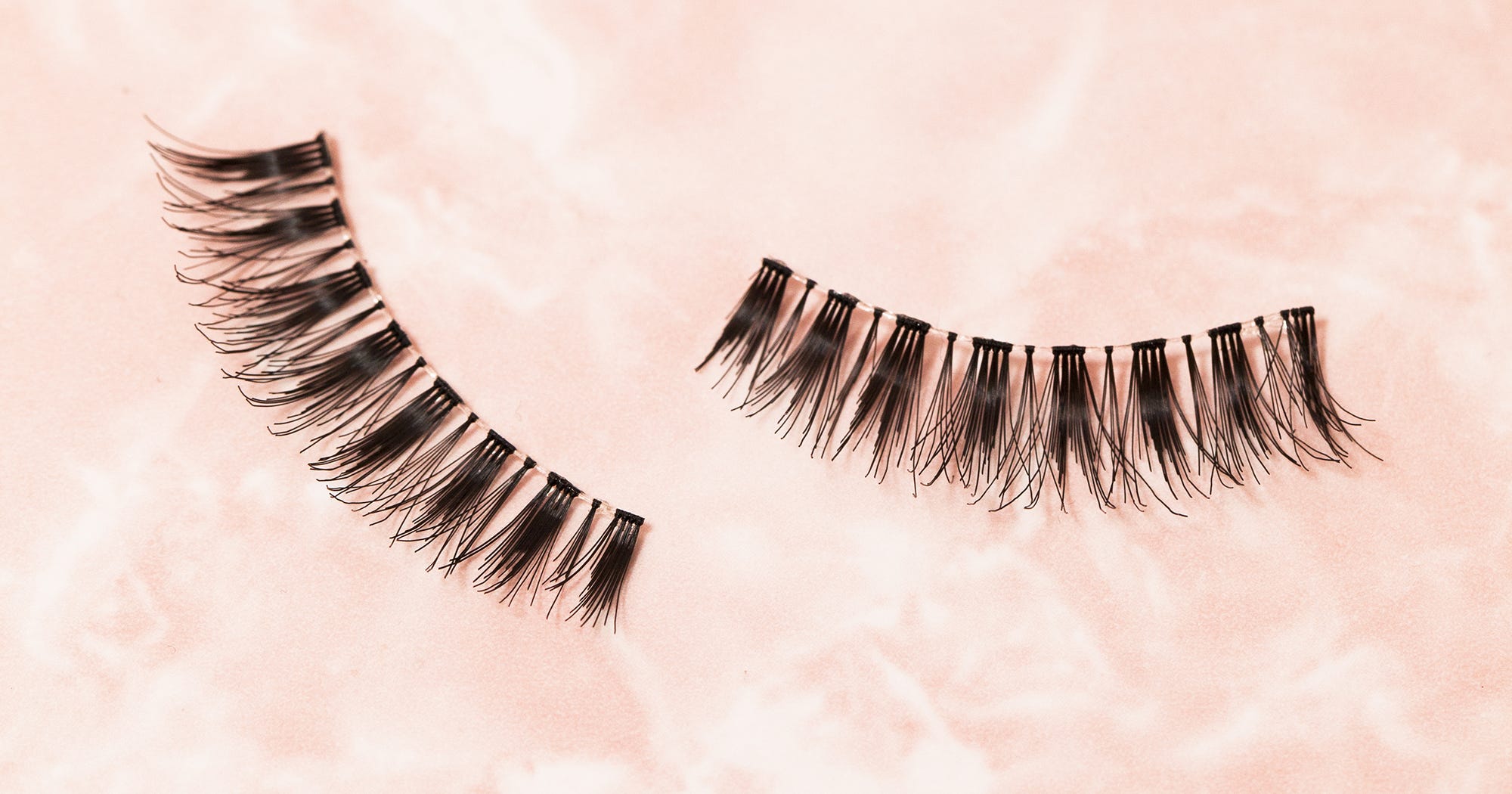 Woman False Lashes Dead Fly Mistake Story Twitter