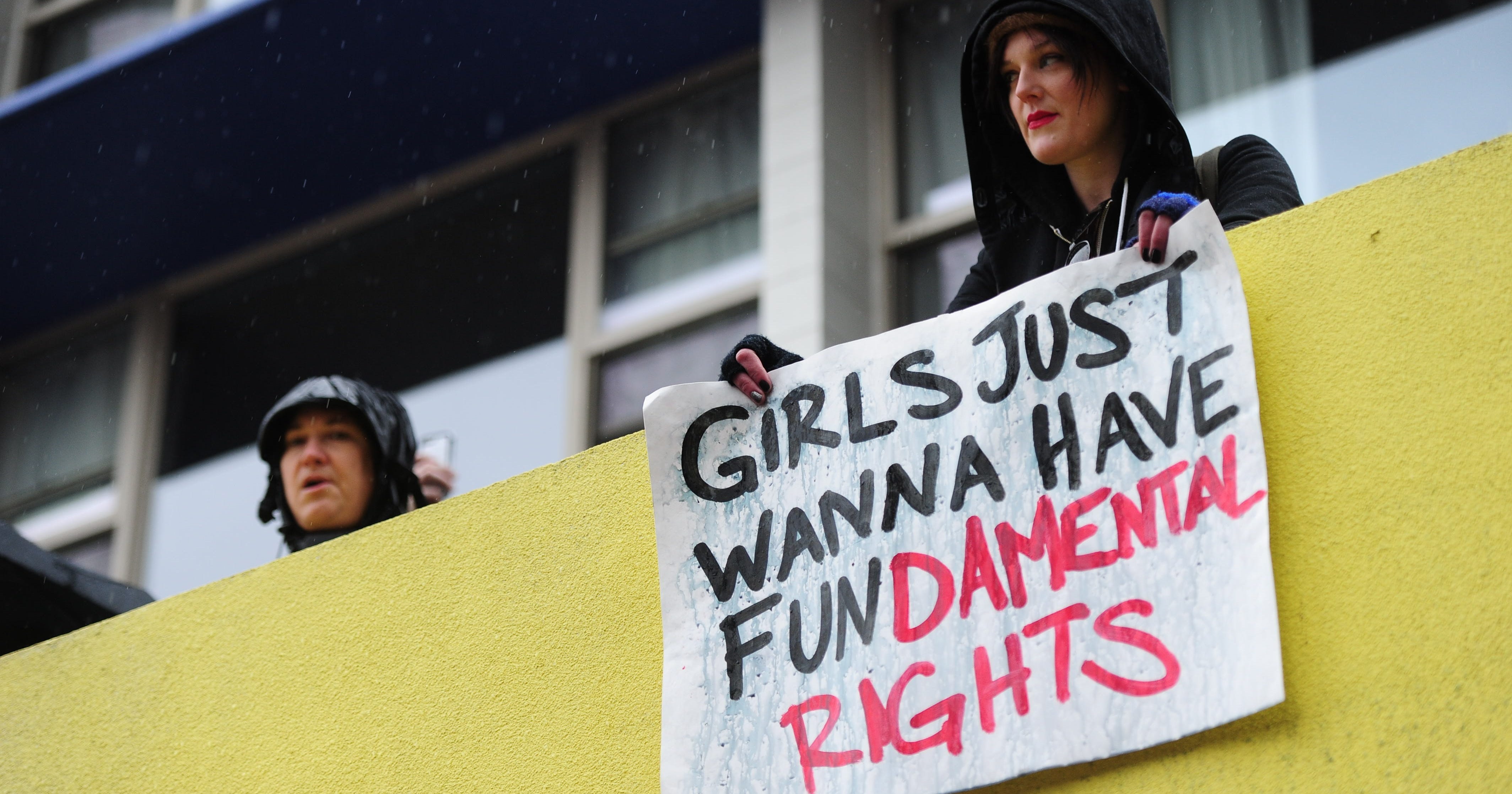 Museums Collecting Women's March Signs