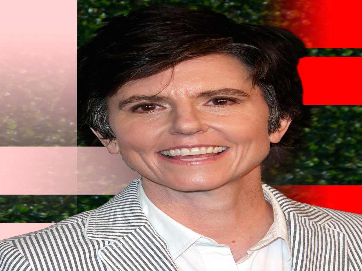 Tig Notaro "Extremely Disappointed" After SNL Sketch Scandal - Know the ...