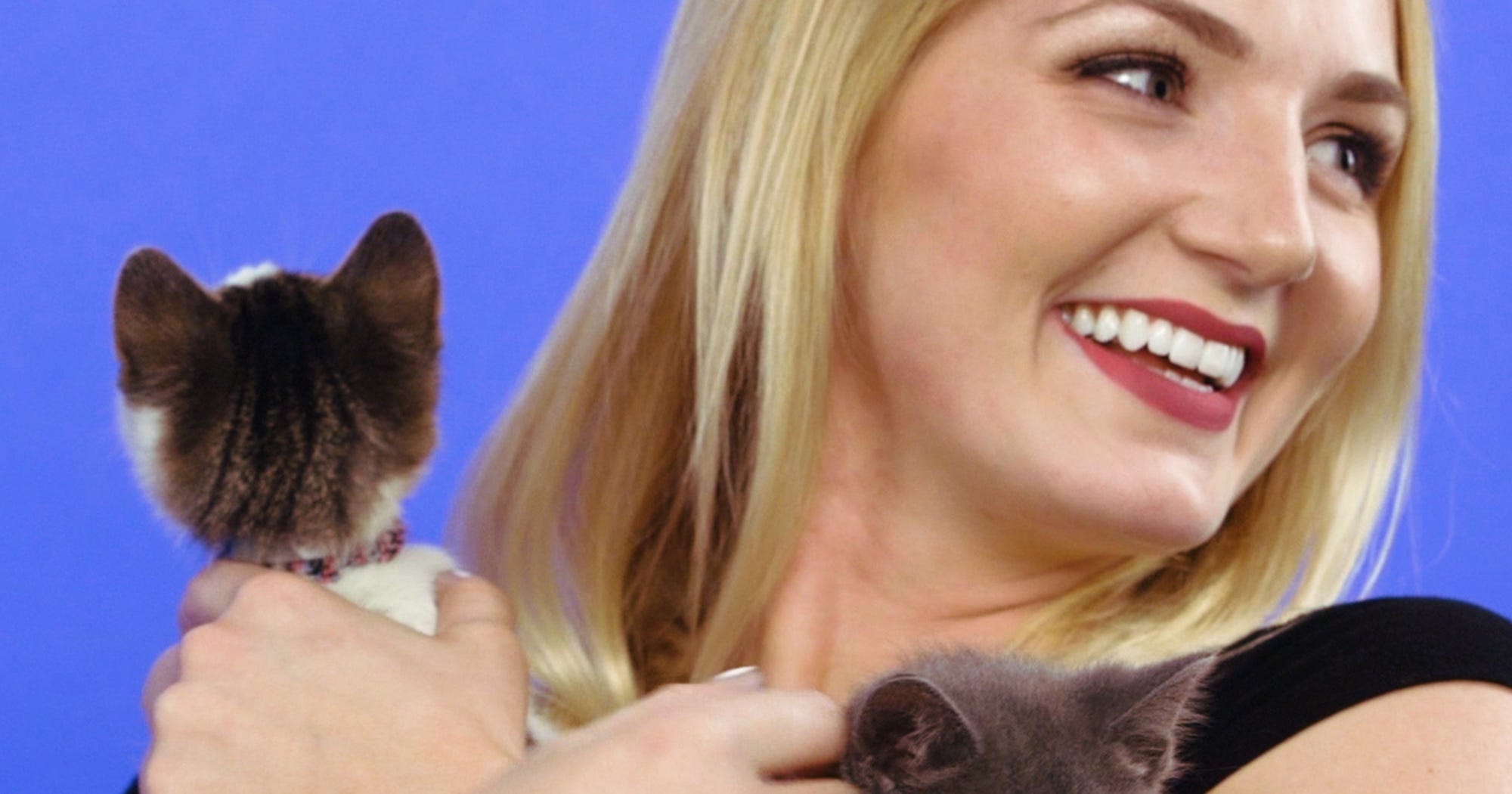 Cat Lady Concentration Test Video