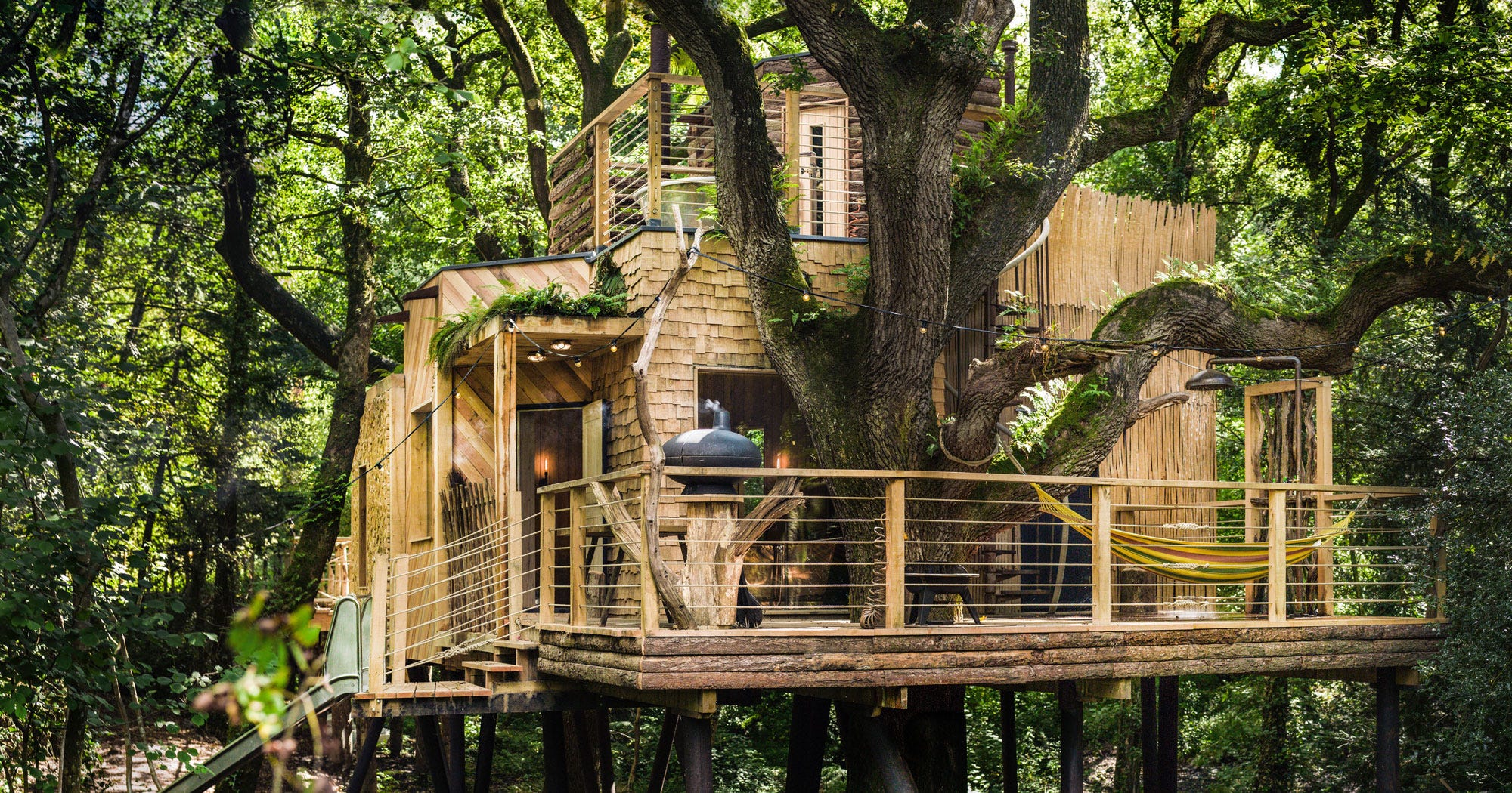 Treehouse Hotel Pictures - The Woodmans Treehouse