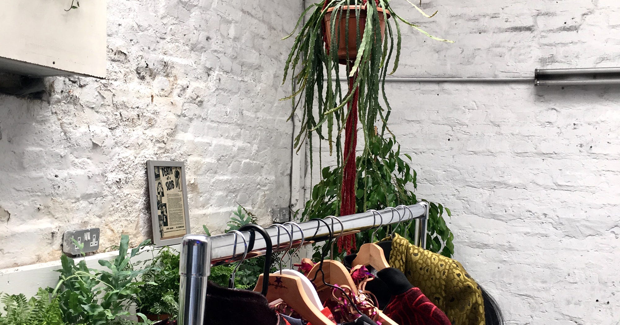 Wear The Walk - Zoe Partridge Interview