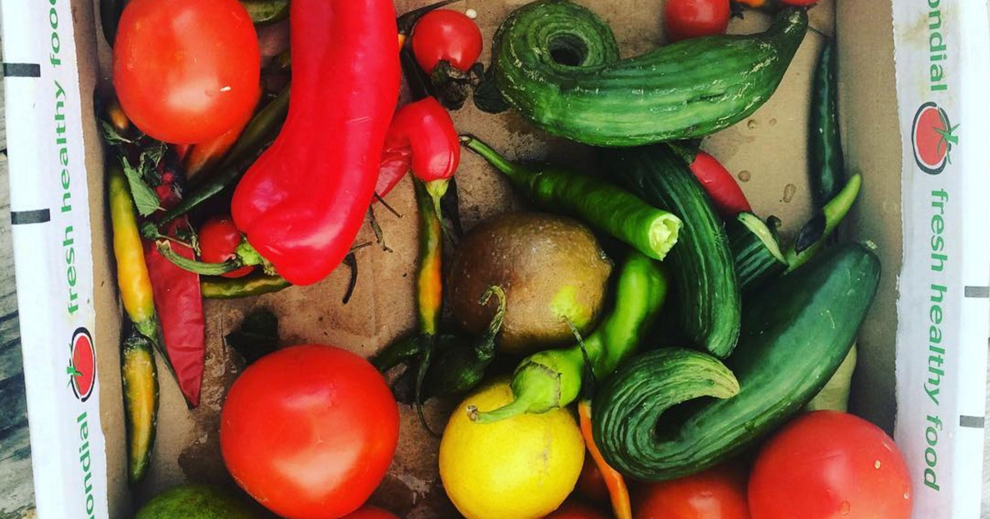 How To Reduce Food Waste