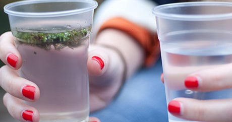 LifeCan - Water Purification Systems 2013