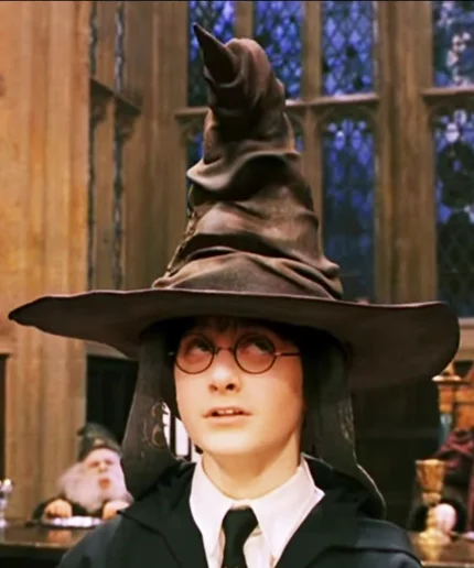 Harry Potter Sorting Hat Meme