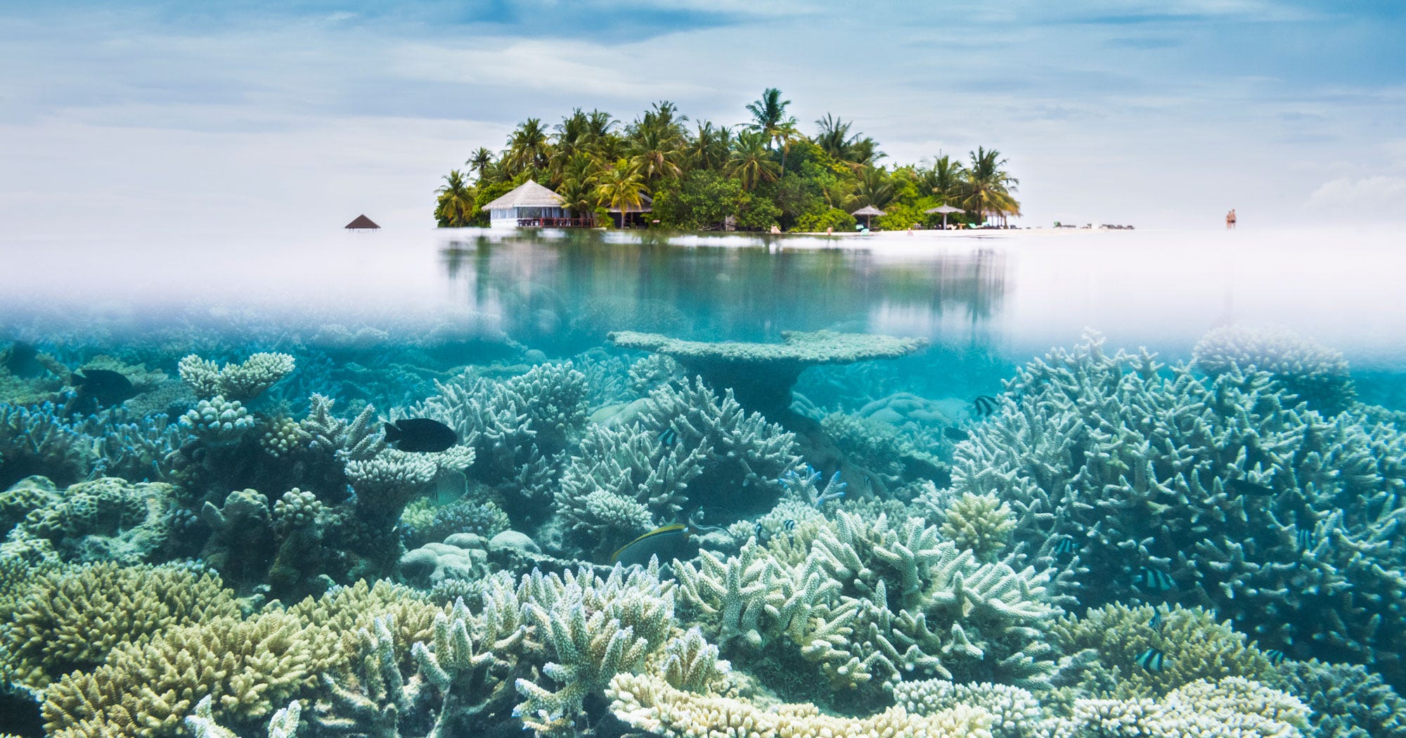 Best Google Maps Locations Indoor Photos