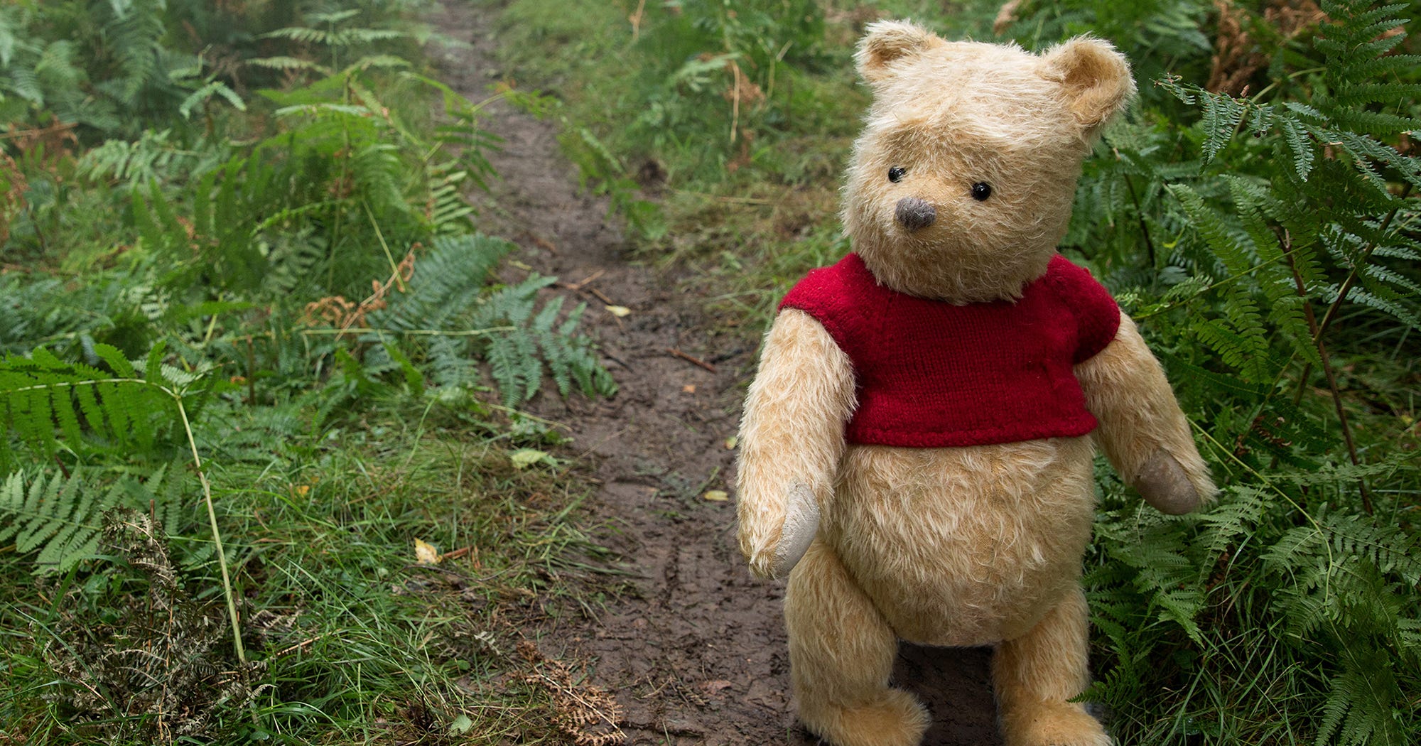 How Pooh Bear And Paddington Are Making Us Kind Again
