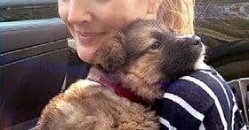 Celebrity Dogs - Photos Of Celebs With Their Pets