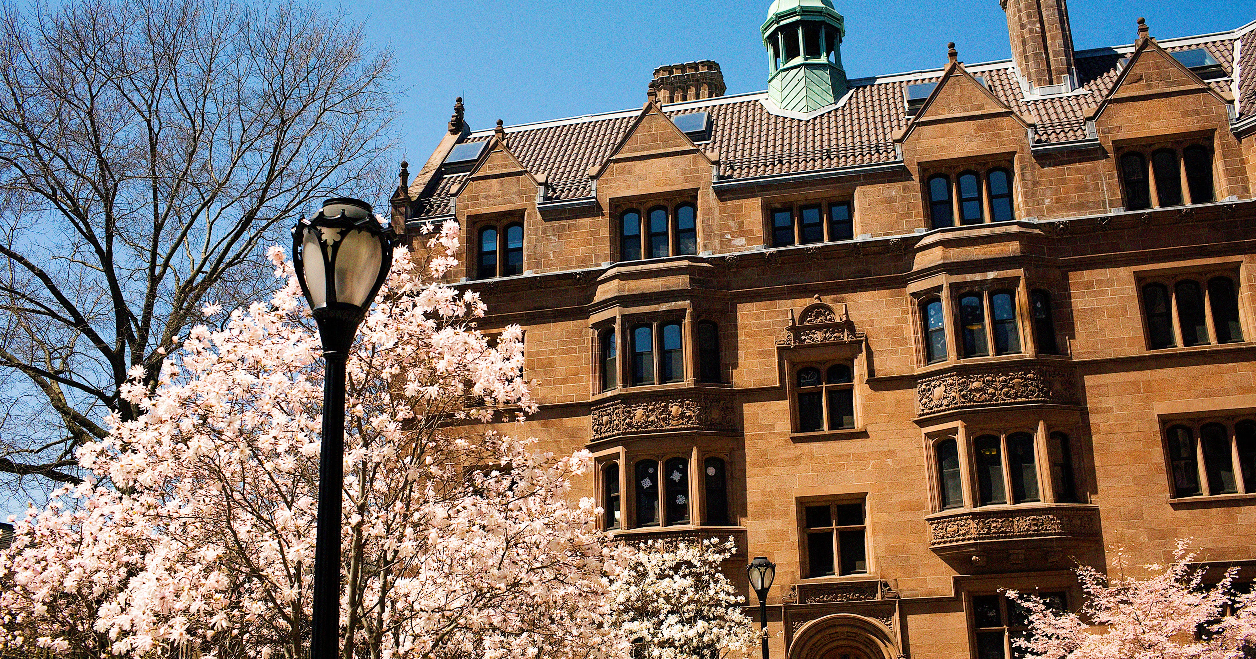 Yale Students Want Sarah Braasch Expelled