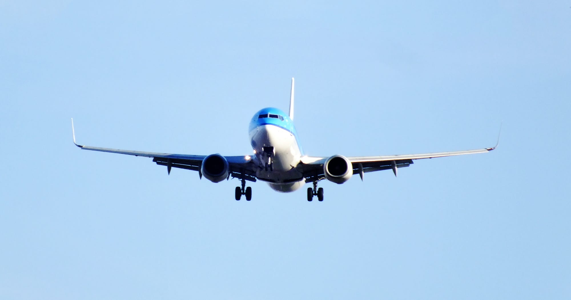 Economy Class Wives, Flying Coach