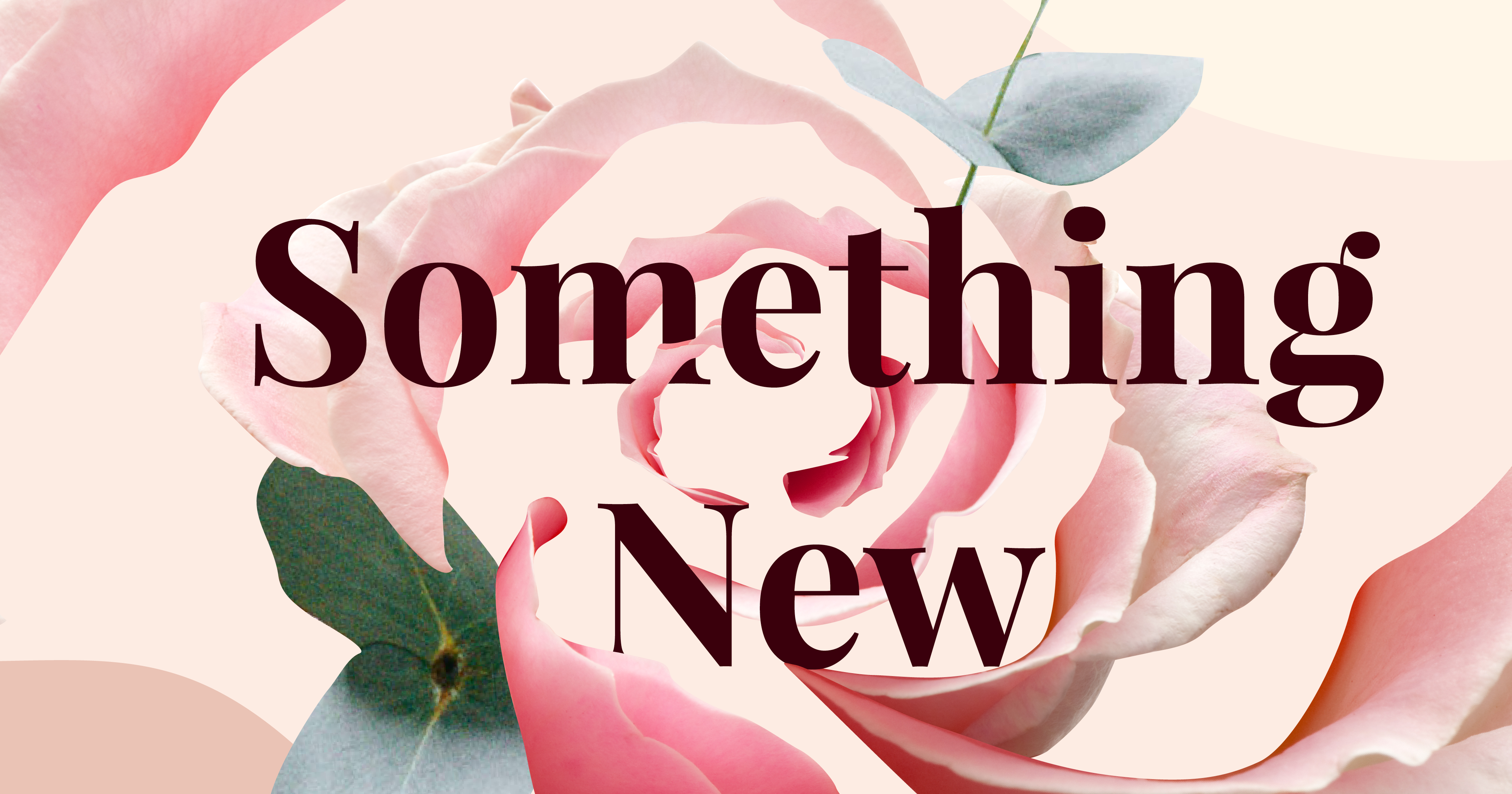 Something New: A Week All About Weddings