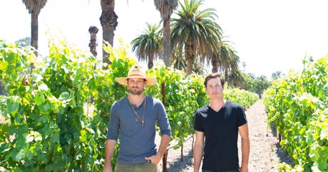 Scribe Winery Sonoma Andrew Adam Mariani