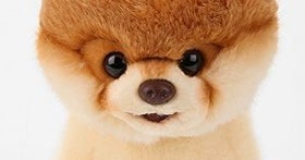 Gund Stuffed Animal Contest - Boo Dog Toy