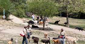 Los Angeles Dog Owner's Guide-The Resources For Dog Owners In L.A.