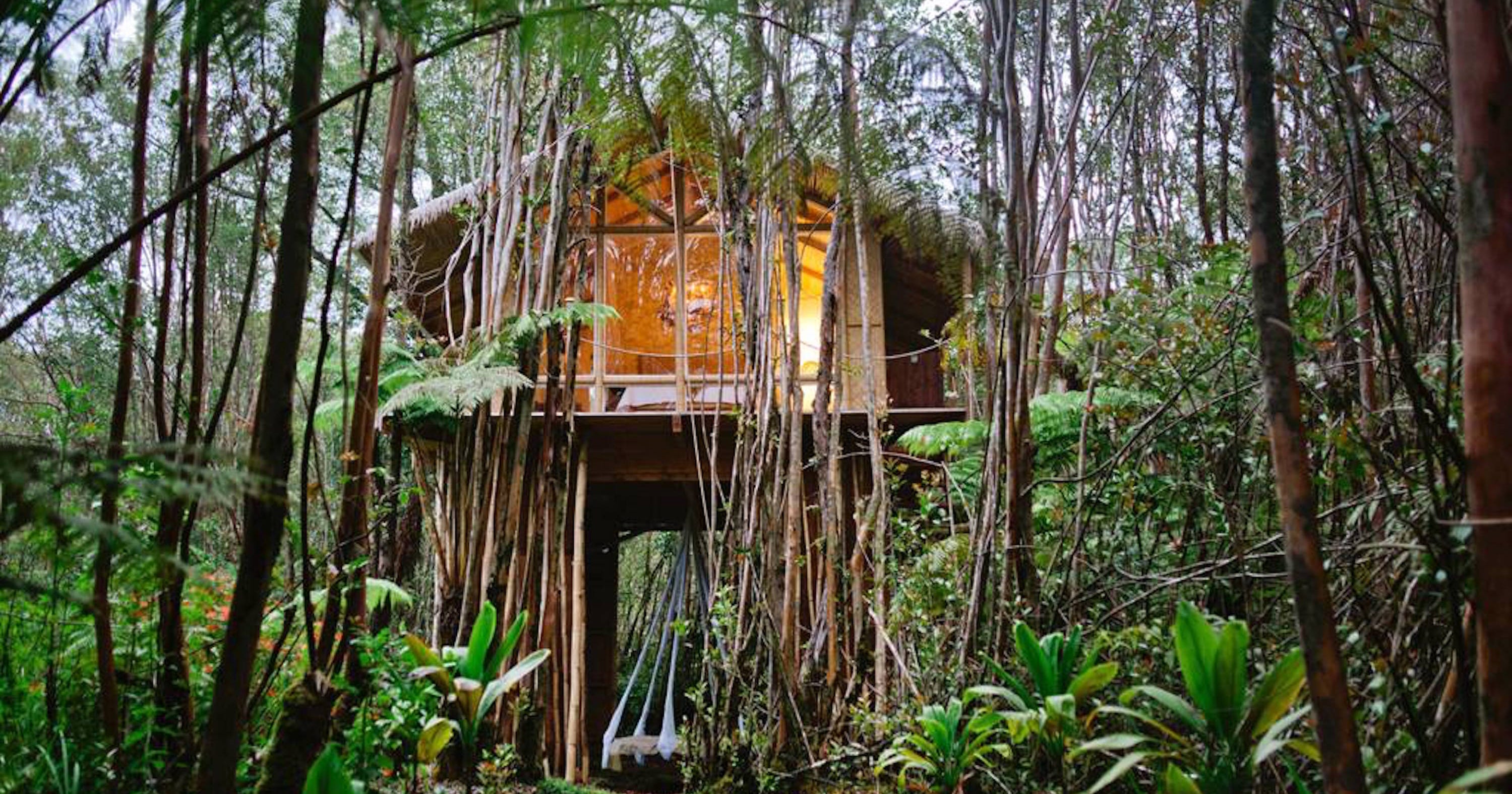 Best Treehouse Rentals On Airbnb For Fall Getaways 2018