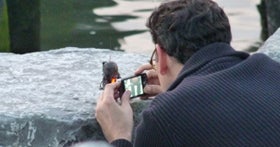 Alien Sightings NYC-Alien Spotted At Brooklyn Bridge Park
