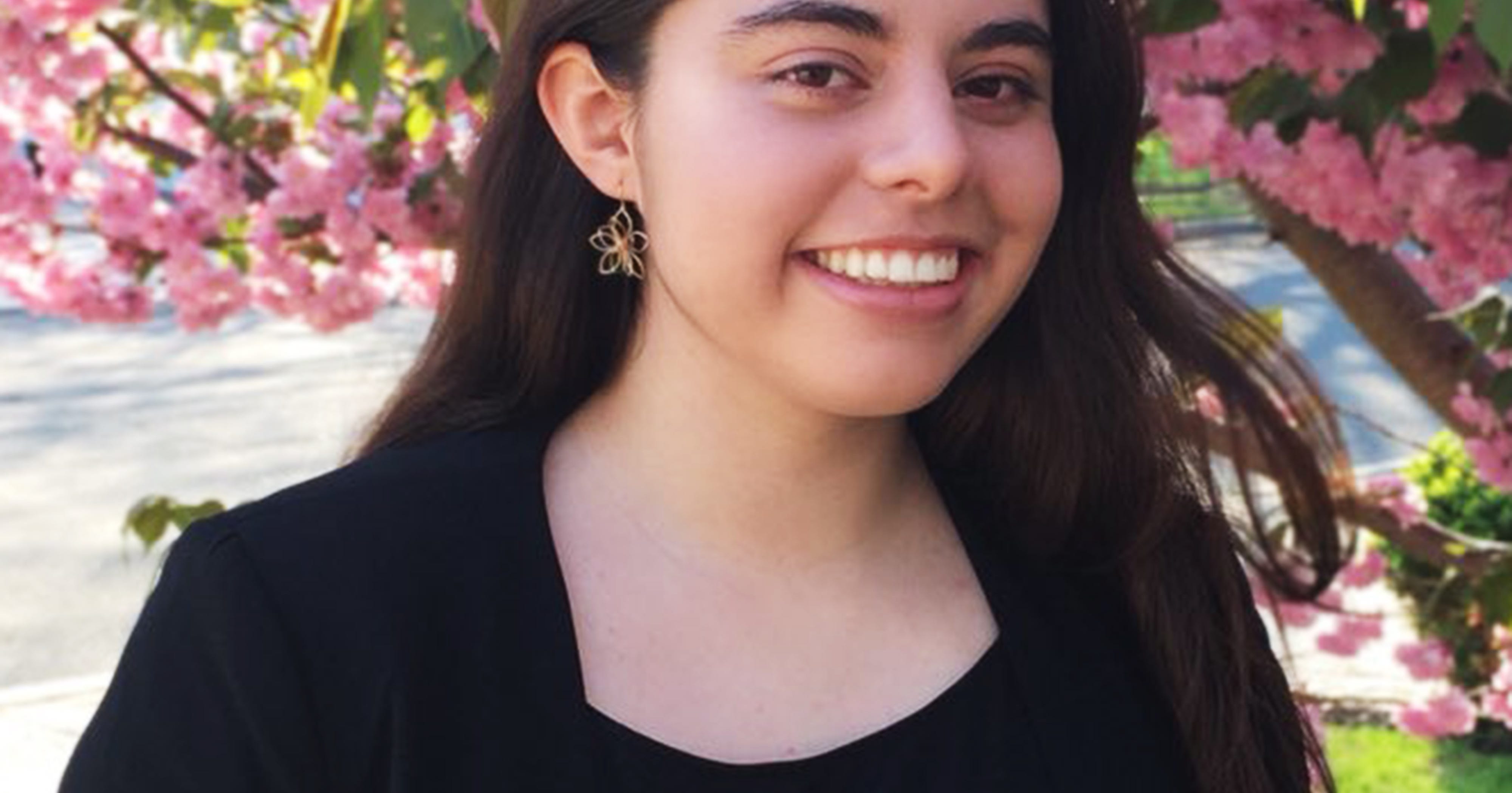 Who Is Gabrielle Anzalone, Lindenhurst Candidates 2018