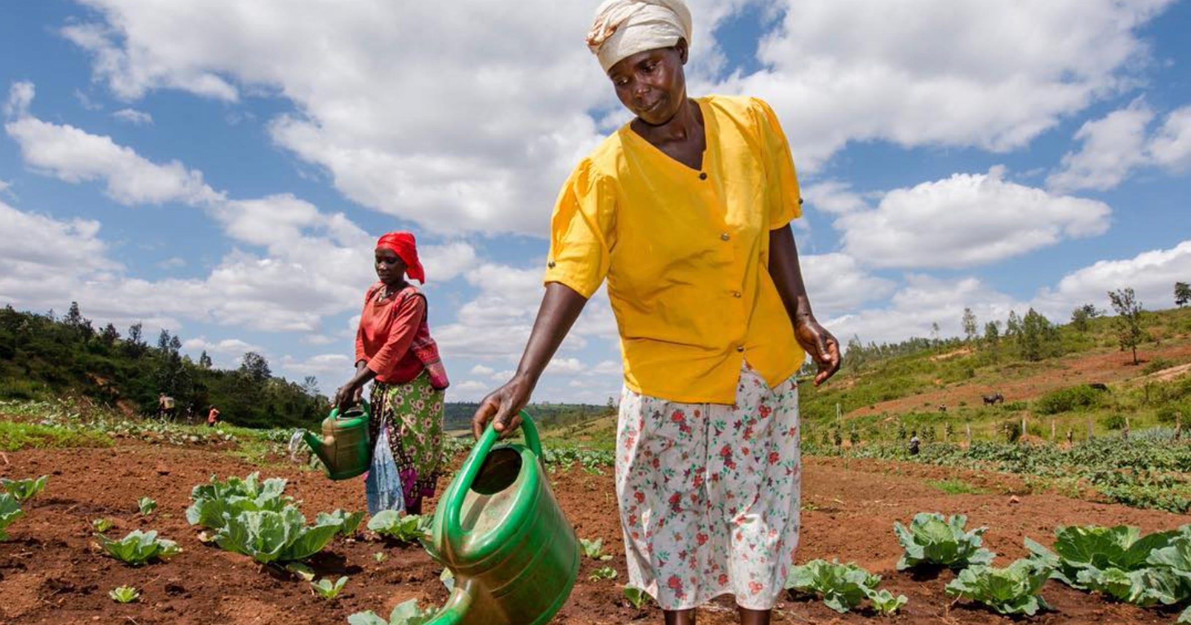 What It’s Really Like… Working for a Charity