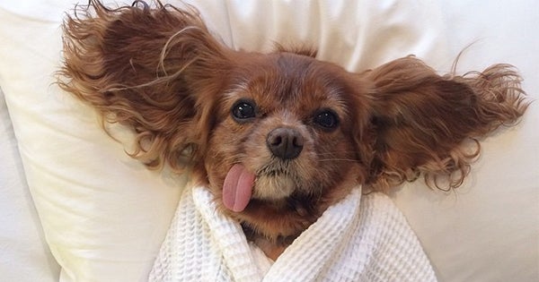 Toast Meets World Instagram