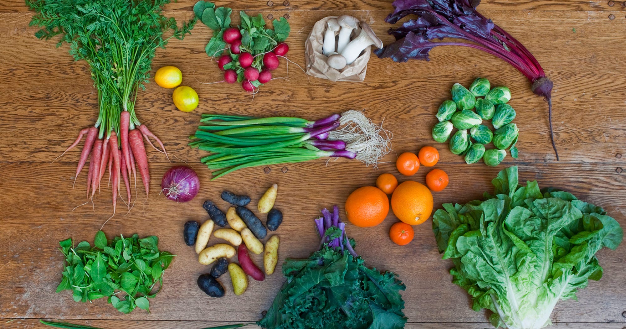 Are GMOs Bad, GMO Food Allergies New Health Safety Repo