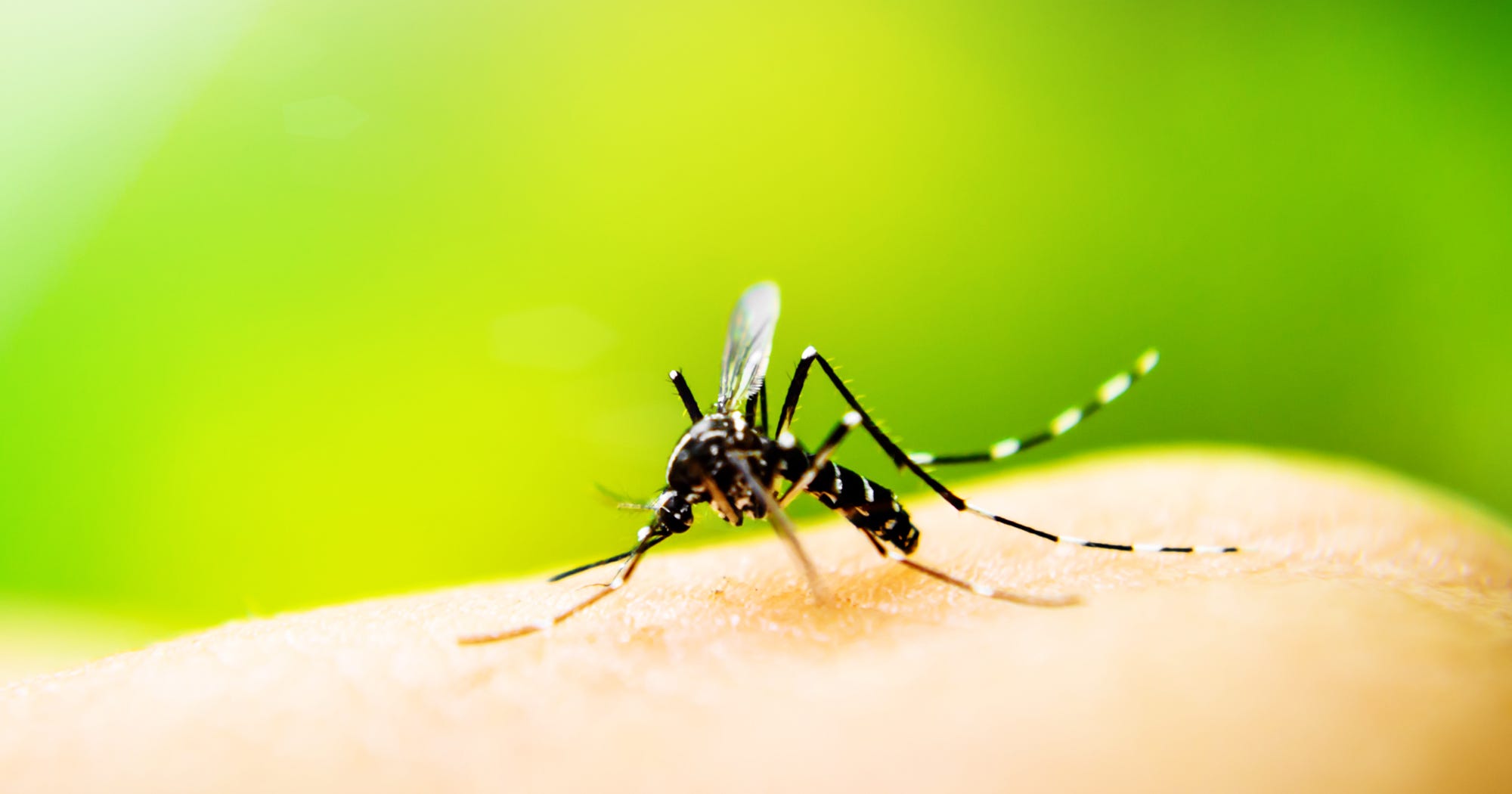 Report Zika Transmission Oral Sex