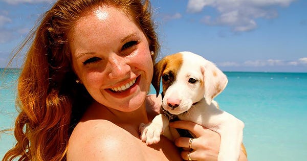 Potcake Place Turks And Caicos Play With Rescue Dogs