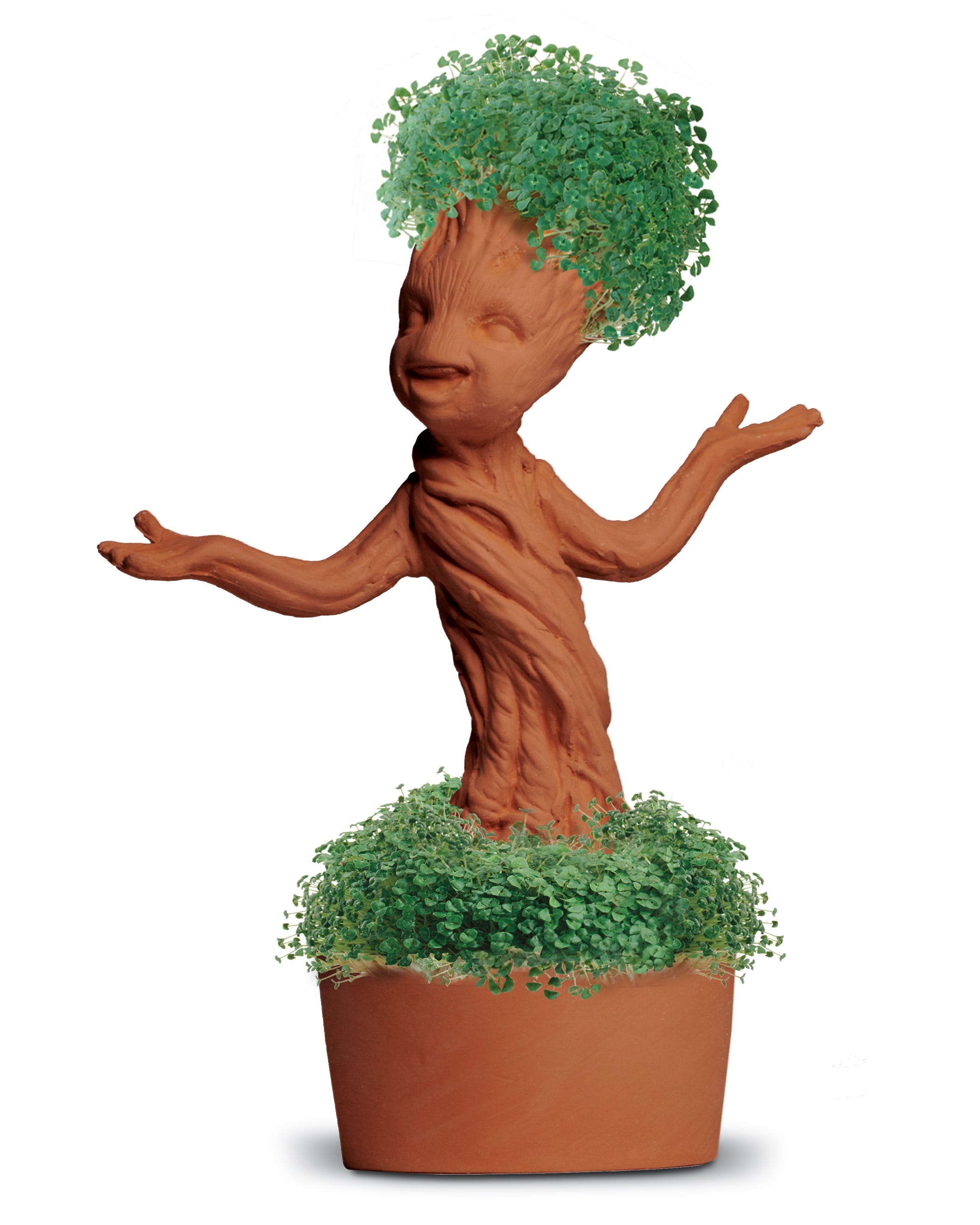 As Seen on TV + Chia Pet “Potted Groot”