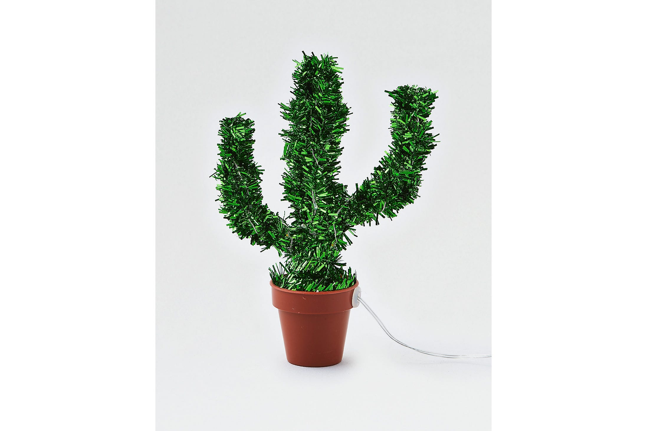 American Eagle Outfitters + DCI Light Up Cactus