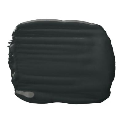 Ralph Lauren + 1-gal. Black Basalt Flat Interior Paint